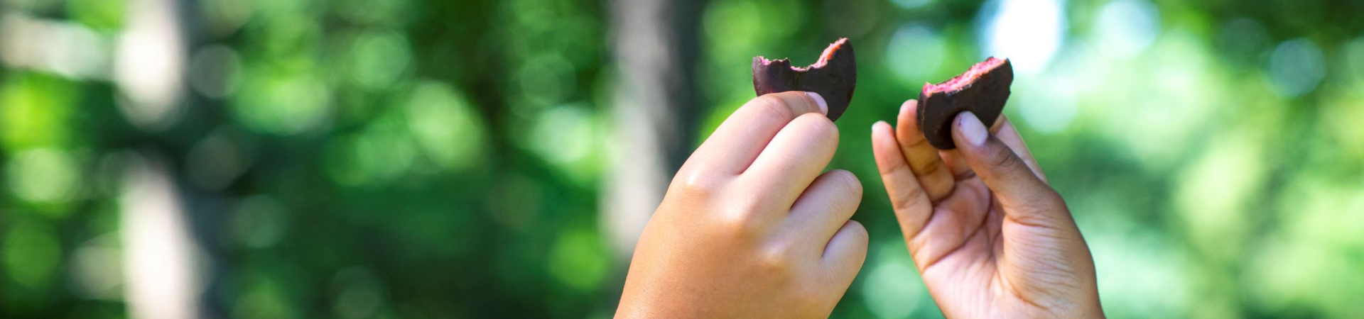 Girl Scouts Unveil New 'Raspberry Rally' Cookie Sold Exclusively Online